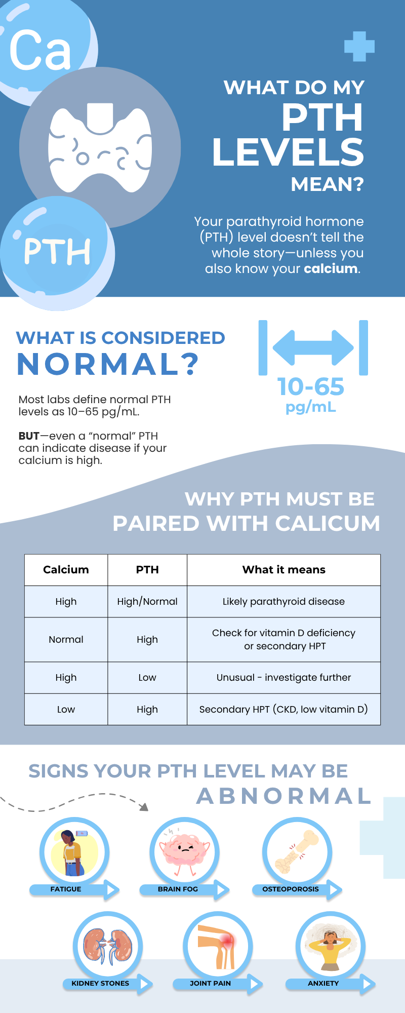 Understanding Normal PTH Levels: What Your Parathyroid Hormone Levels ...